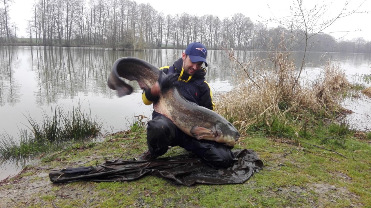 Cours Silure – Guide de pêche à Paris et île de France